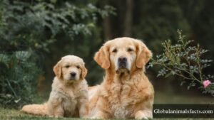 Top 23 Animals That Gallop (Images Included)